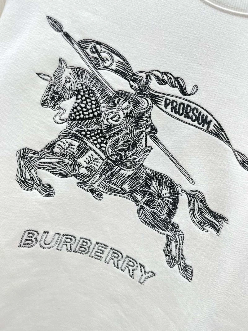 High fidelity Burberry Hoodies