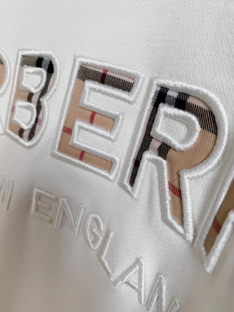 Indistinguishable Burberry Hoodies