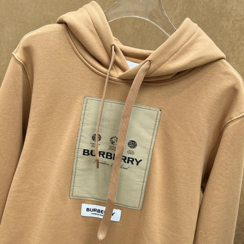 Mirror quality Burberry Hoodies