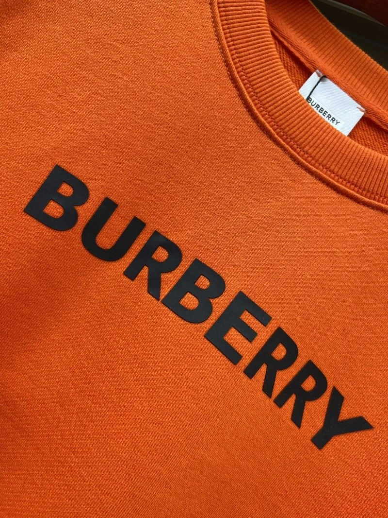 High fidelity Burberry Hoodies