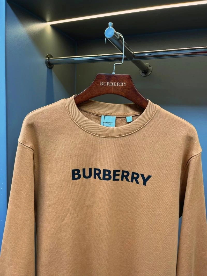Top mirror Burberry Hoodies
