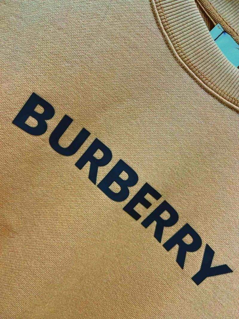 Top mirror Burberry Hoodies