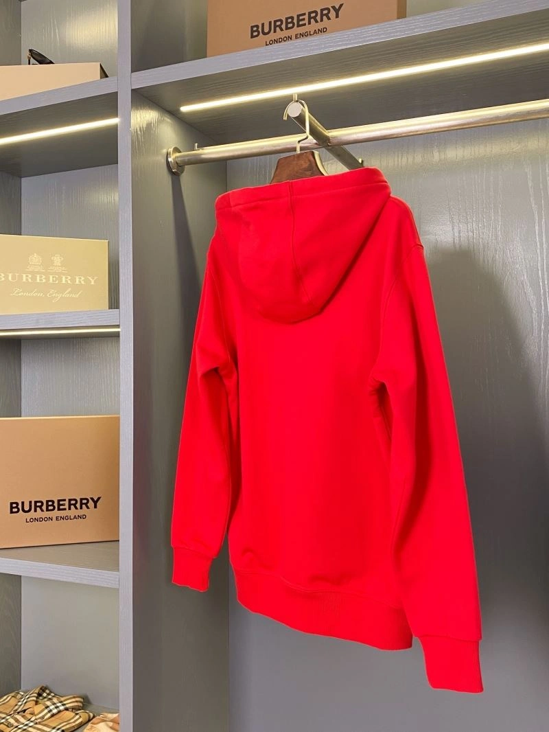 Reasonably priced Burberry Hoodies