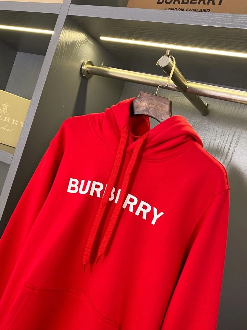 Reasonably priced Burberry Hoodies