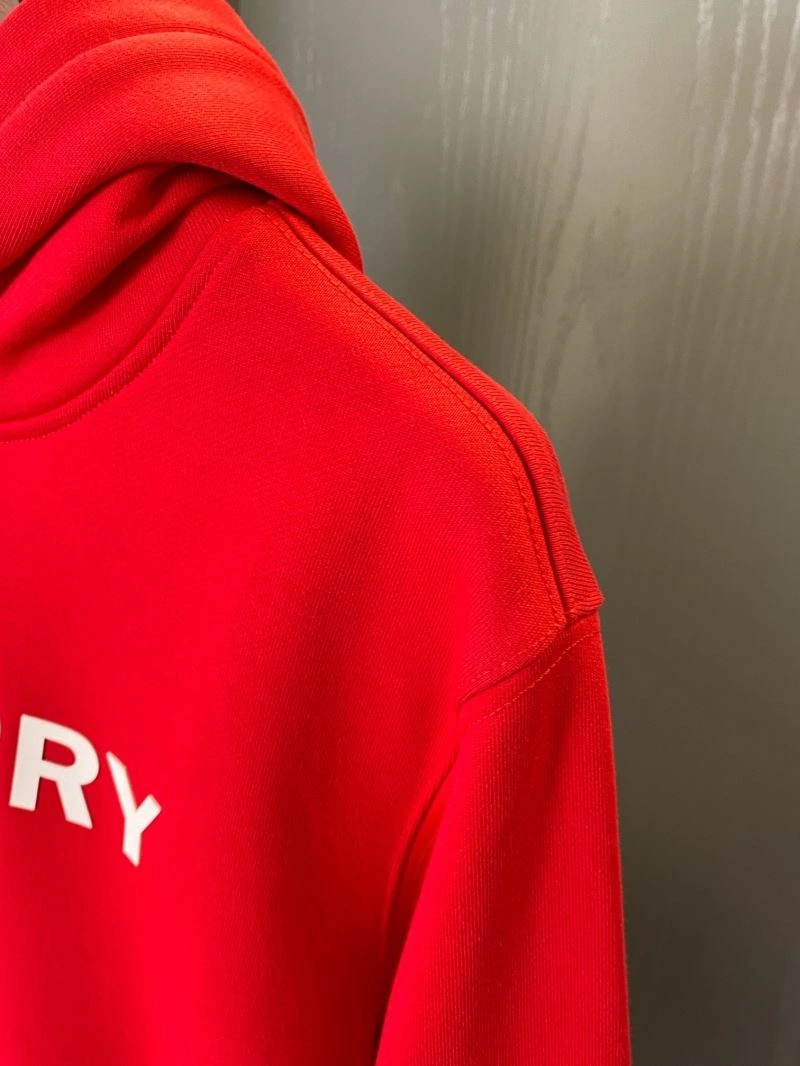 Reasonably priced Burberry Hoodies