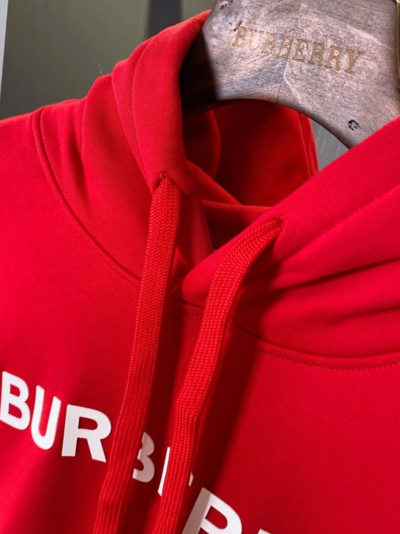 Reasonably priced Burberry Hoodies