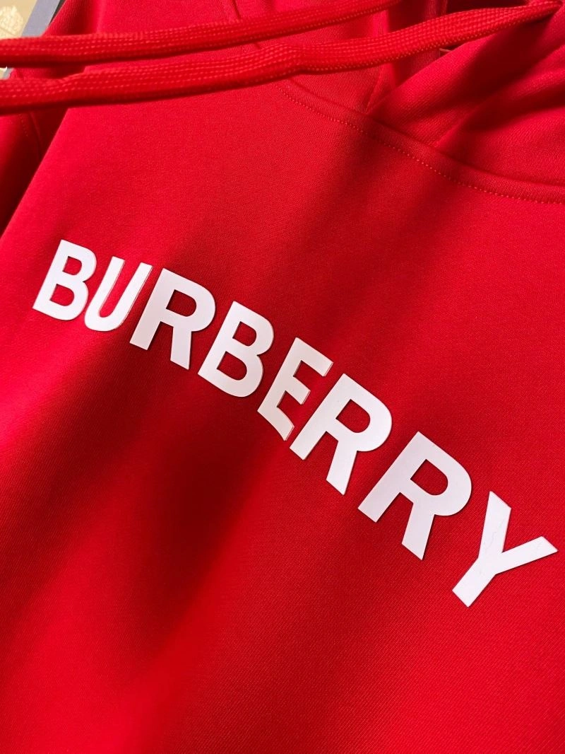 Reasonably priced Burberry Hoodies