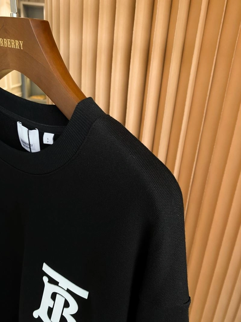 Reasonably priced Burberry Hoodies