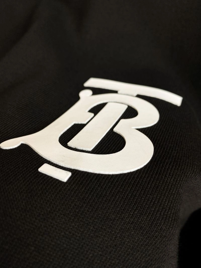 Reasonably priced Burberry Hoodies