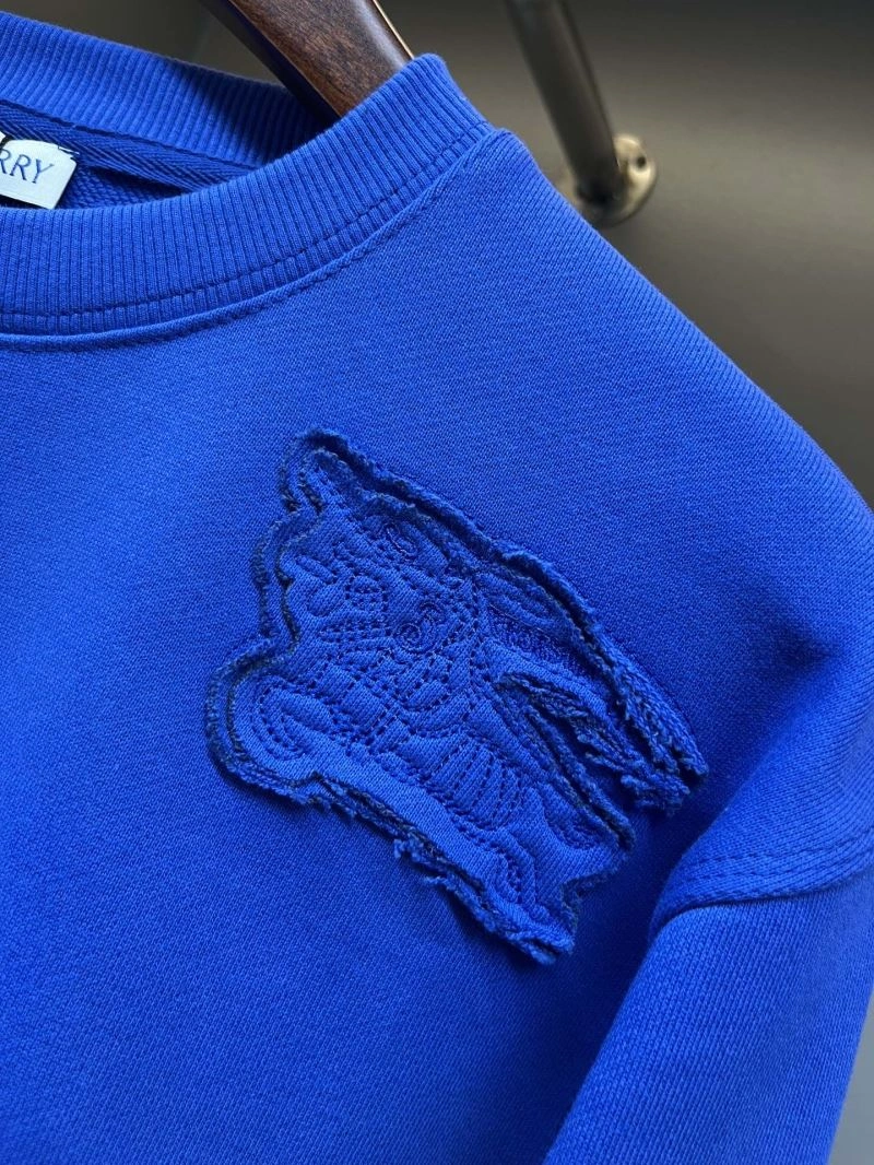 Budget-friendly Burberry Hoodies