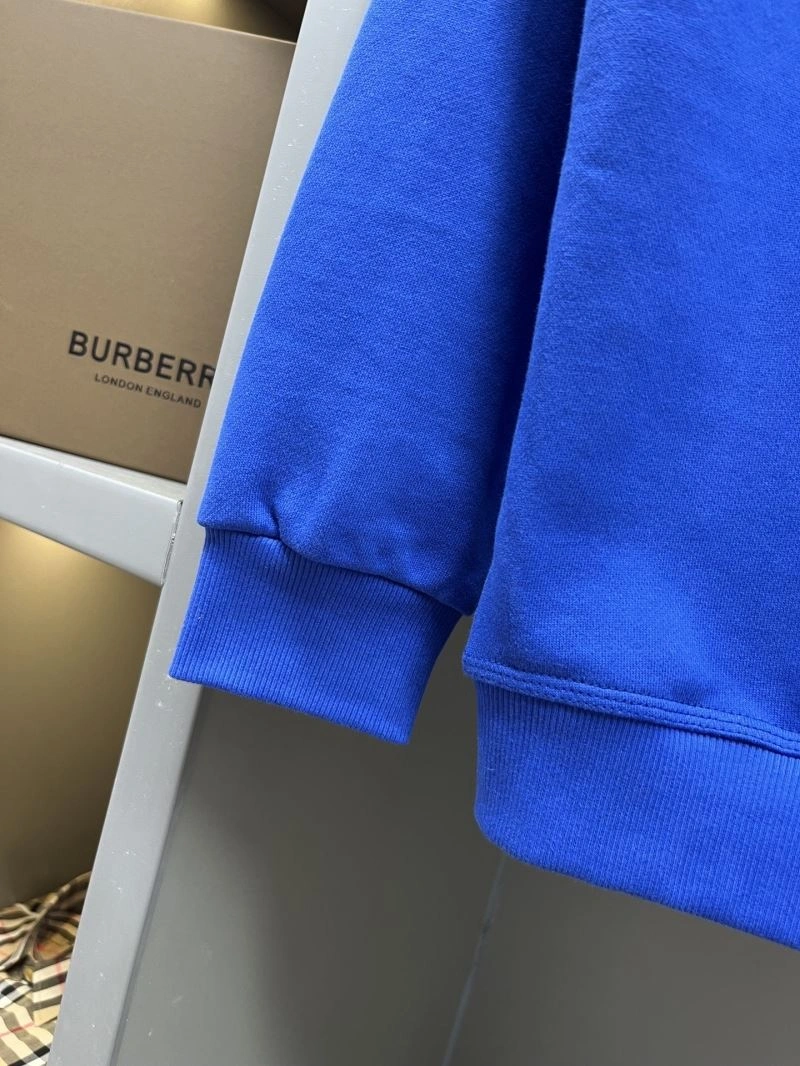 Budget-friendly Burberry Hoodies