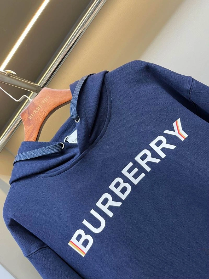 High fidelity Burberry Hoodies
