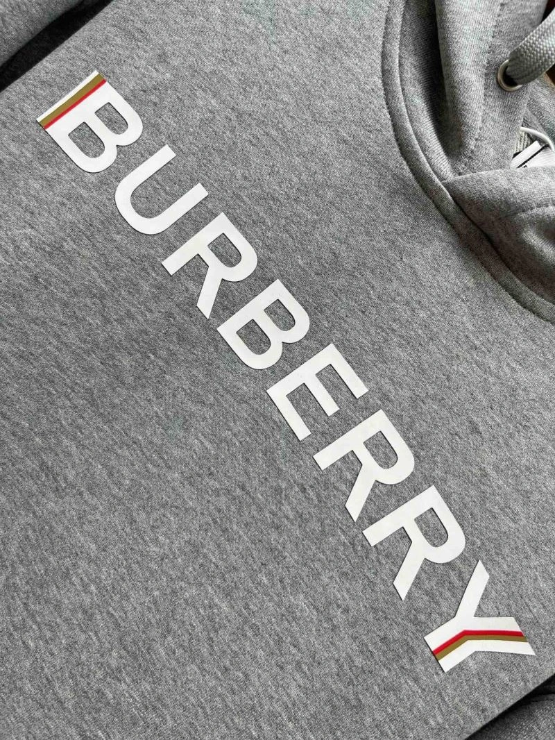 Indistinguishable Burberry Hoodies