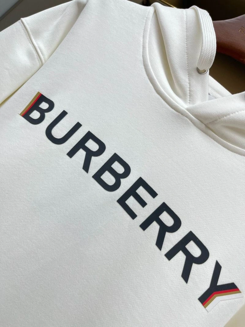 1:1 copy Burberry Hoodies