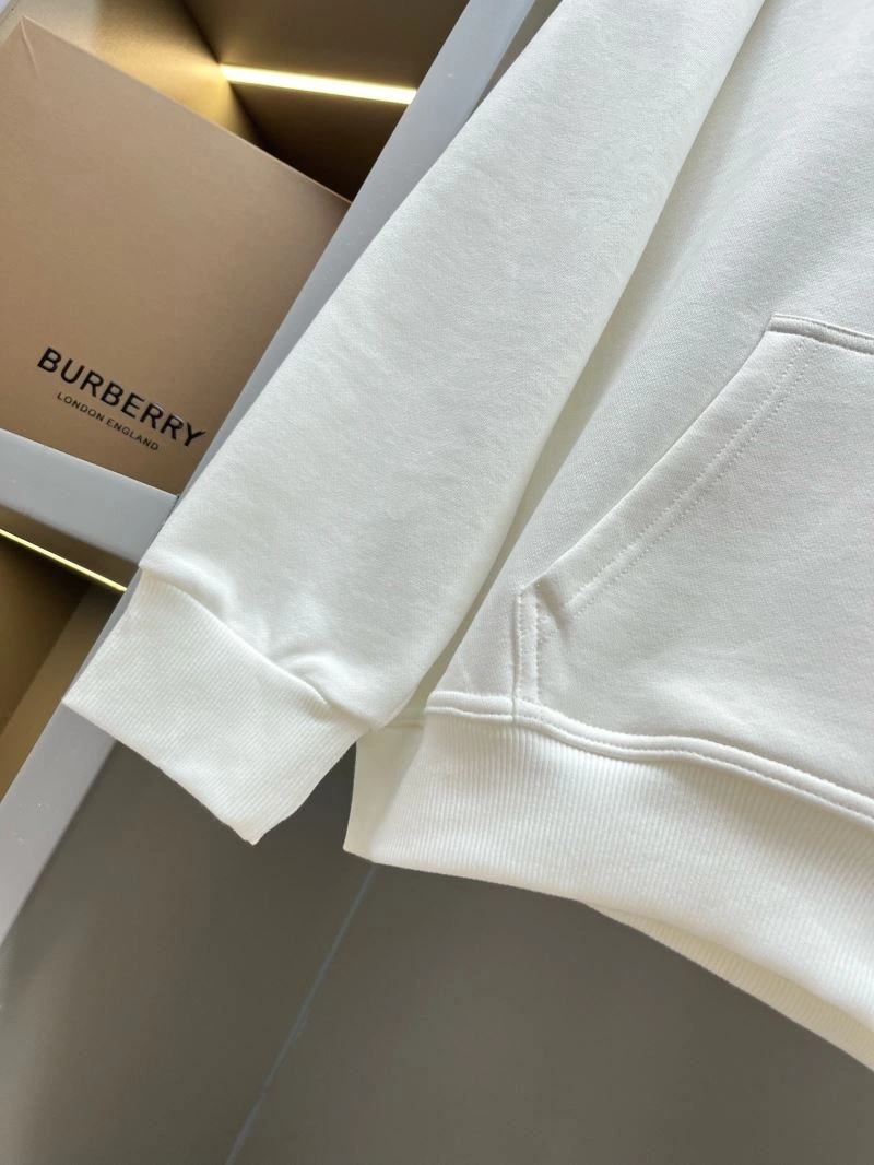 1:1 copy Burberry Hoodies