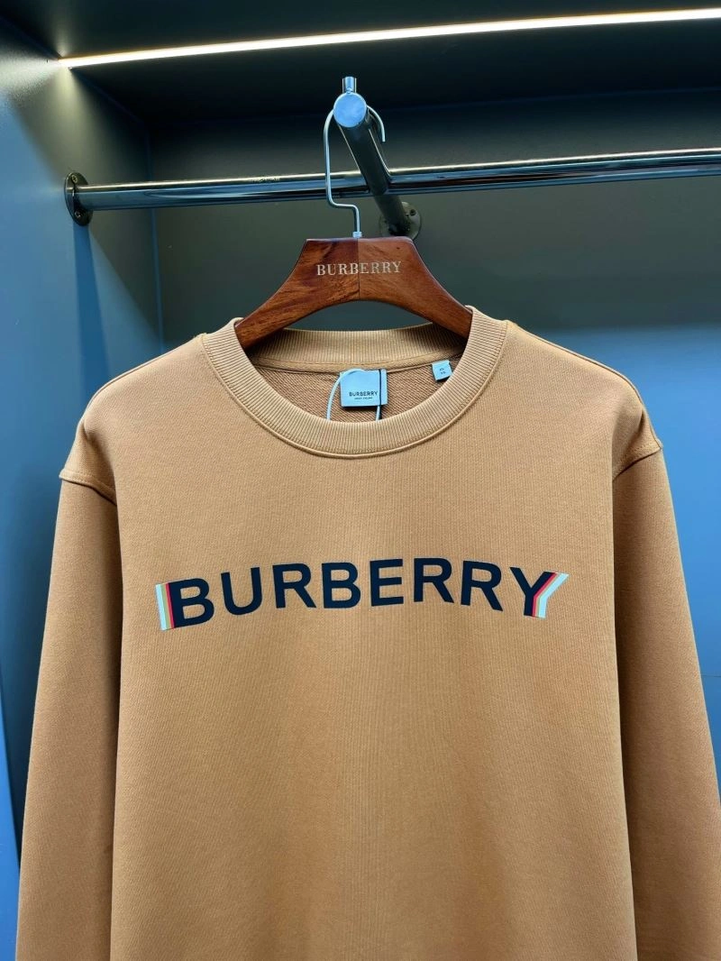 Exact replica Burberry Hoodies