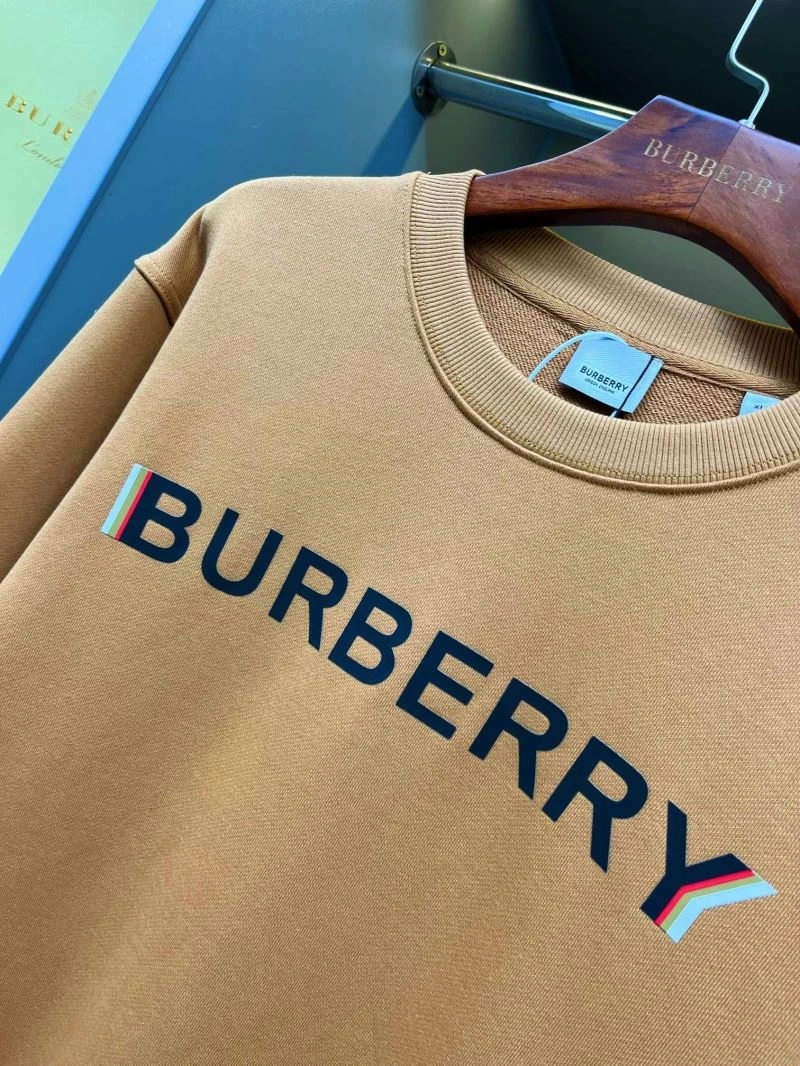 Exact replica Burberry Hoodies