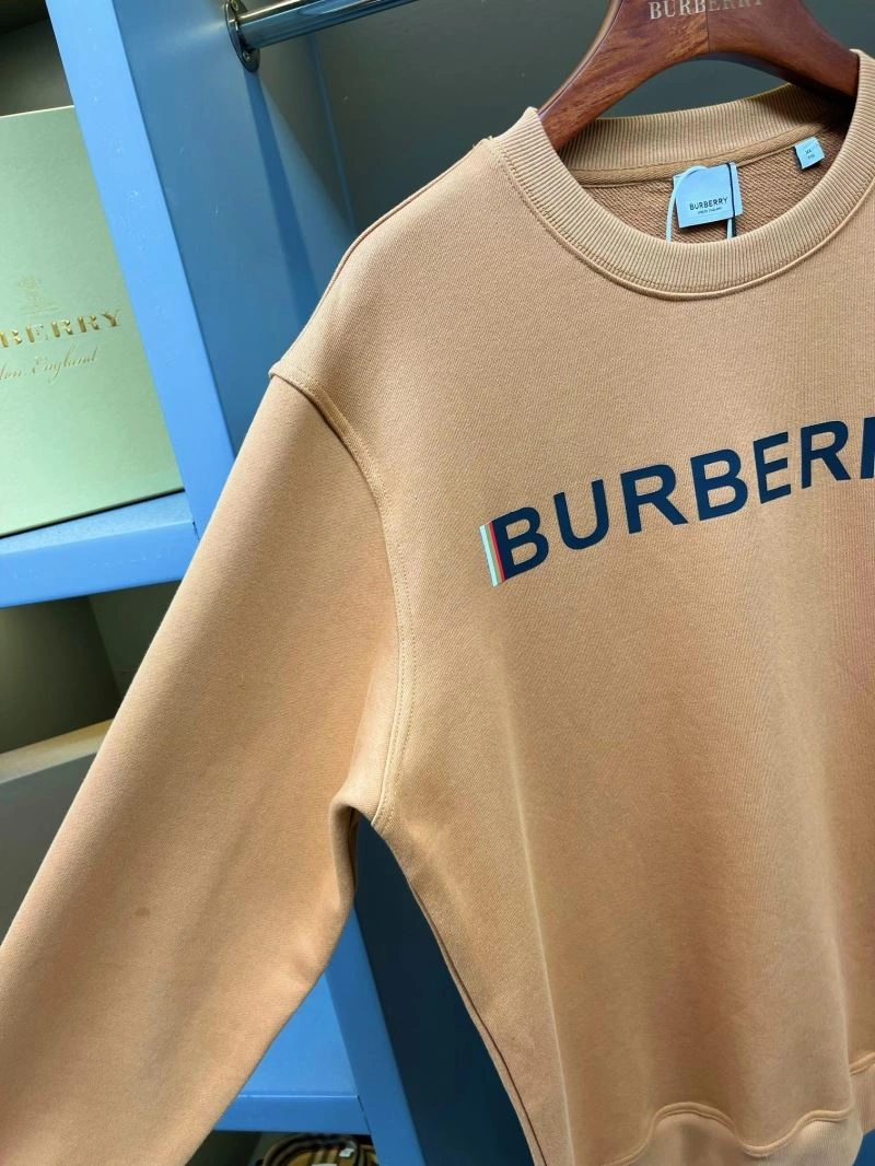 Exact replica Burberry Hoodies