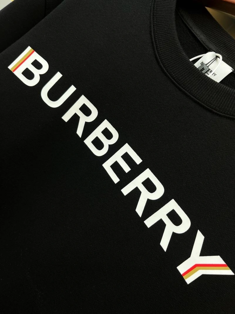 Mirror quality Burberry Hoodies