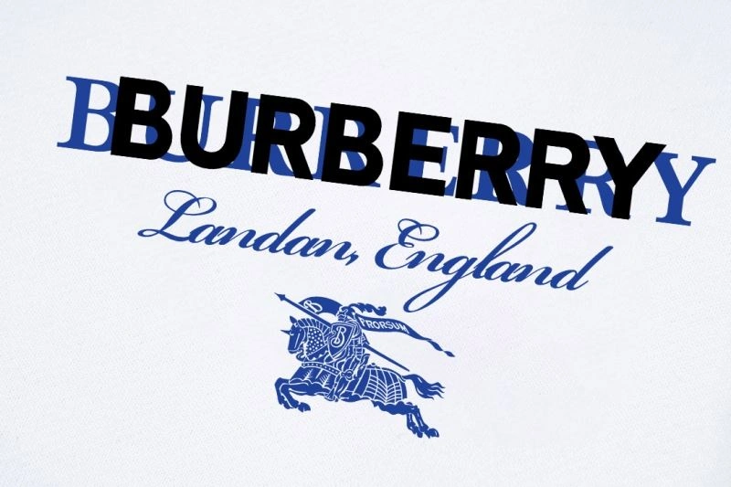 Affordable Burberry Hoodies