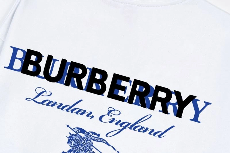Affordable Burberry Hoodies