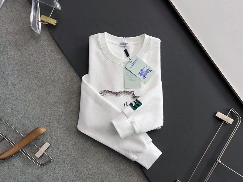 Top match Burberry Hoodies