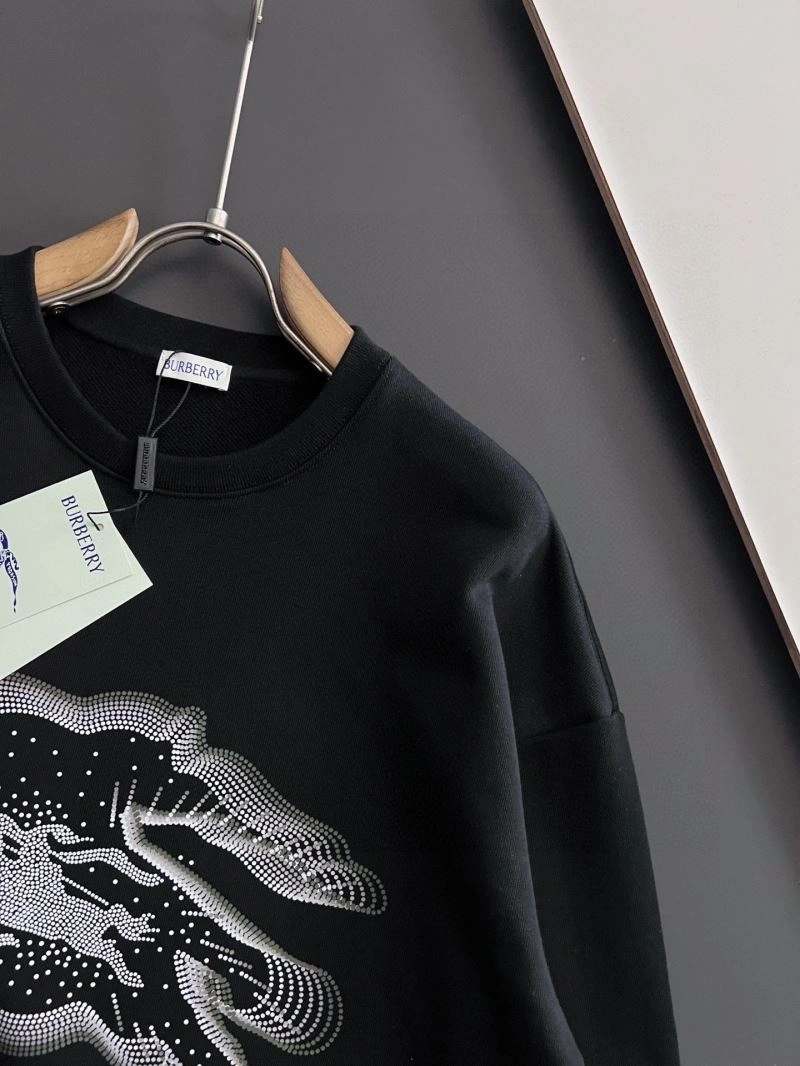 Budget-friendly Burberry Hoodies
