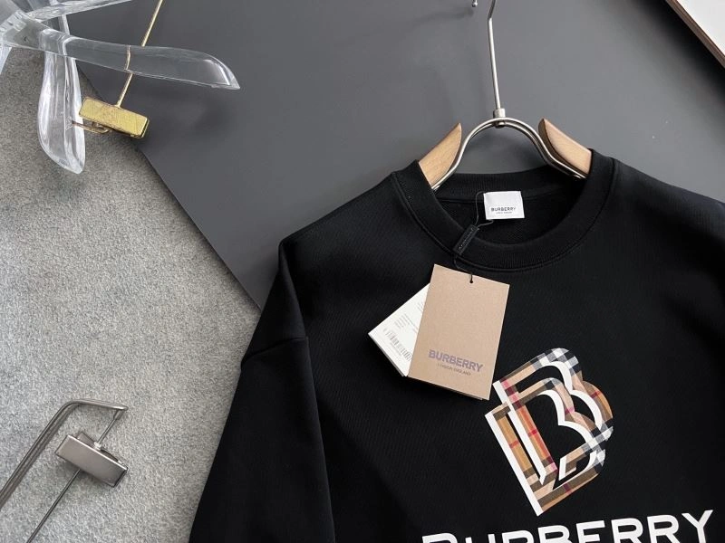 Economical Burberry Hoodies