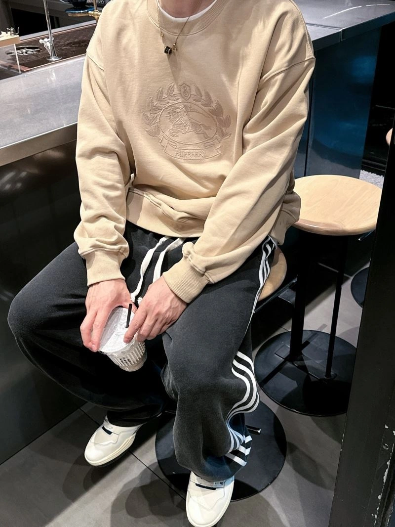 1:1 copy Burberry Hoodies