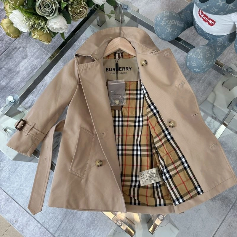 Precise copy Burberry Kids