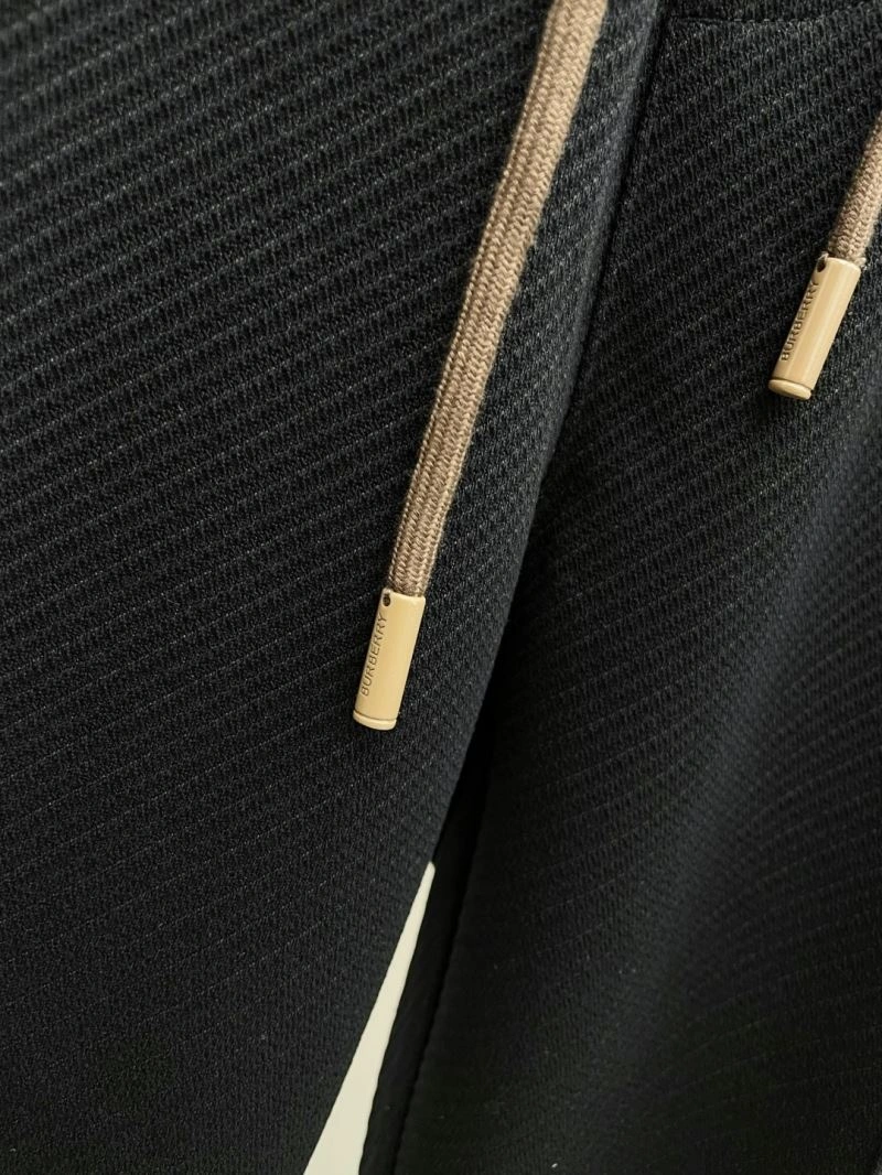 Accurate model Burberry Long Pants