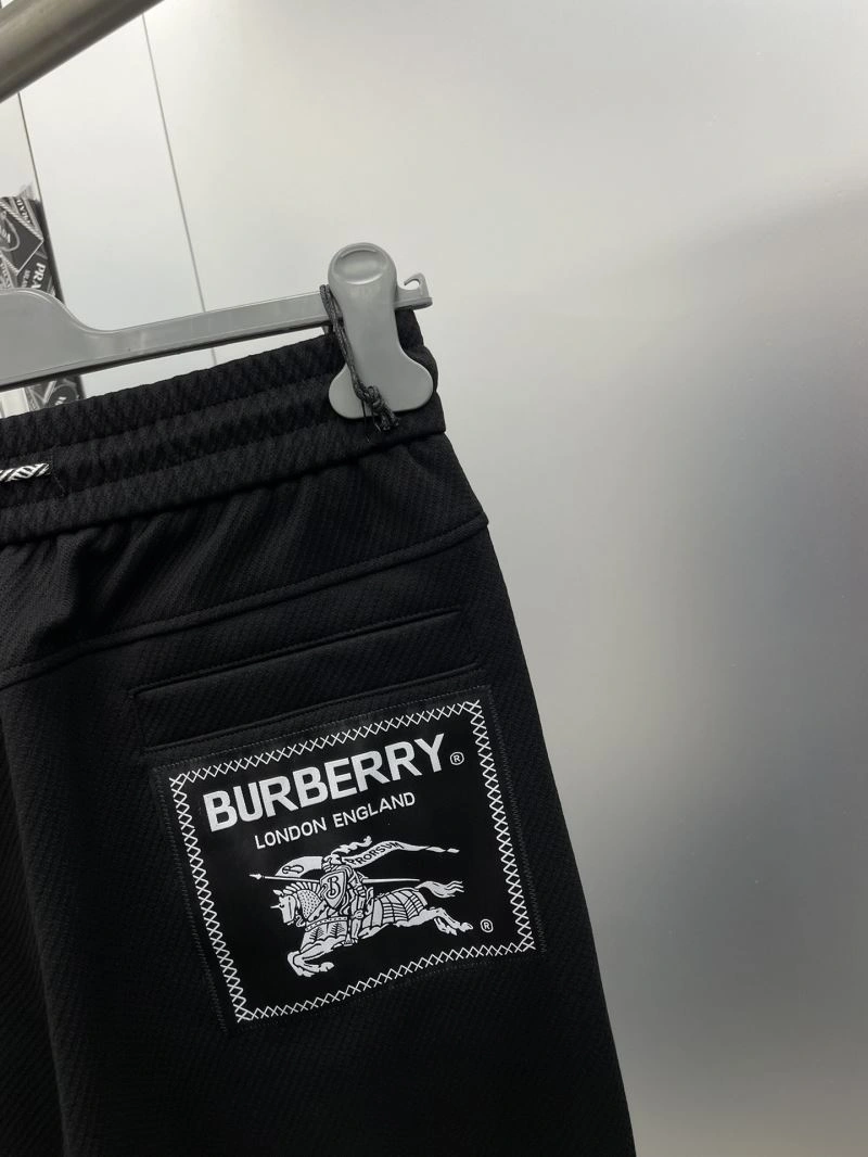 Accurate model Burberry Long Pants