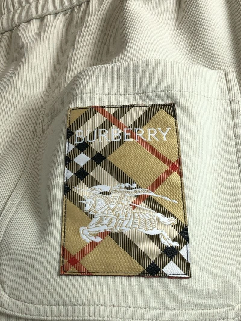 High accuracy Burberry Long Pants