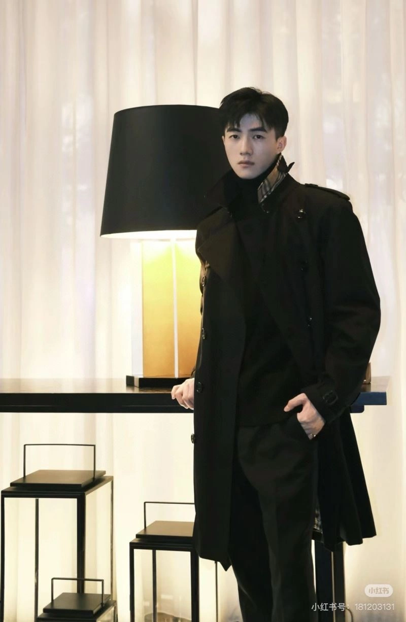 Top mirror Burberry Outwear