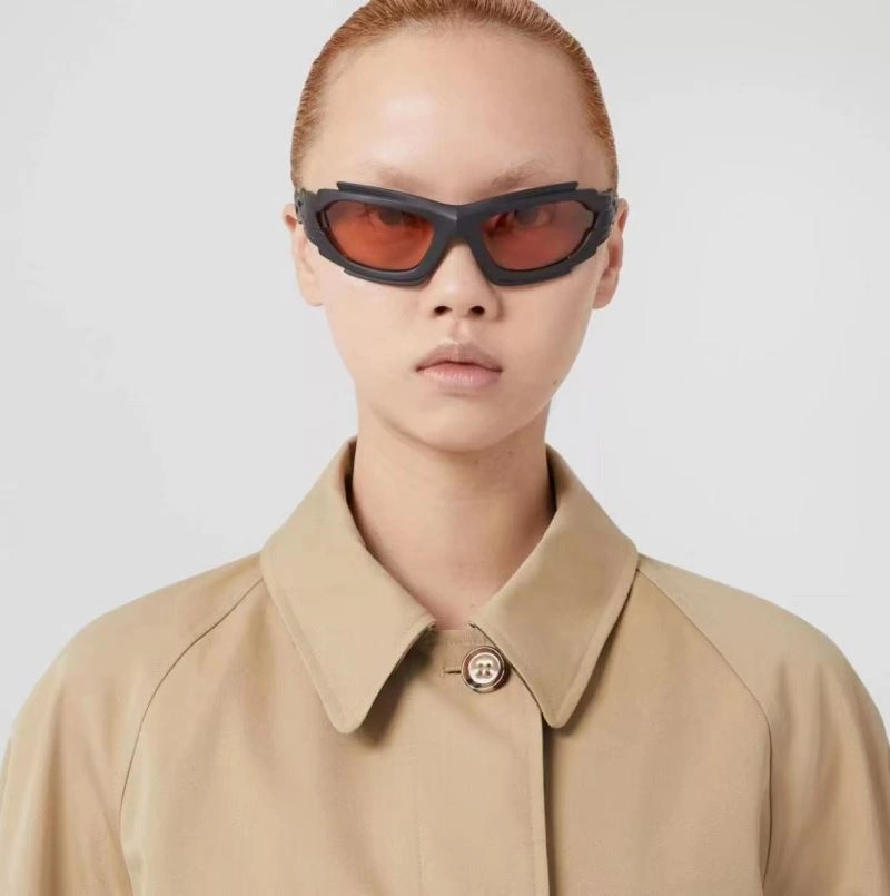 Accurate model Burberry Outwear
