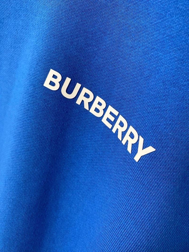 Precise copy Burberry Outwear