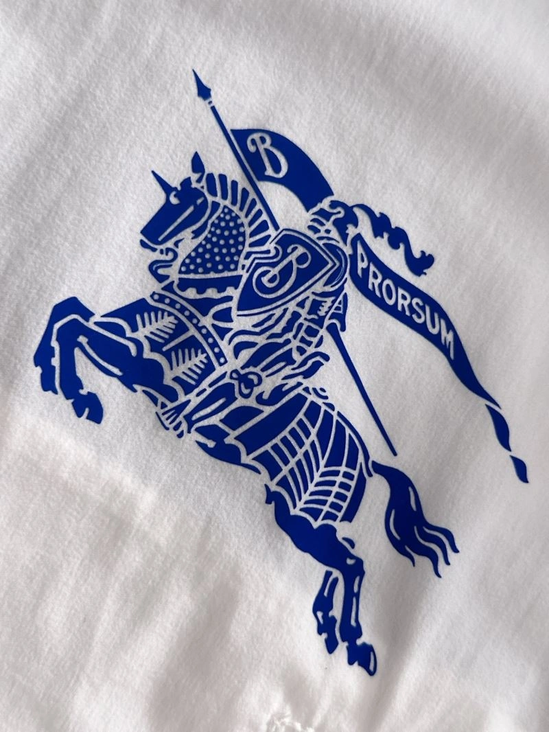 1:1 copy Burberry Outwear