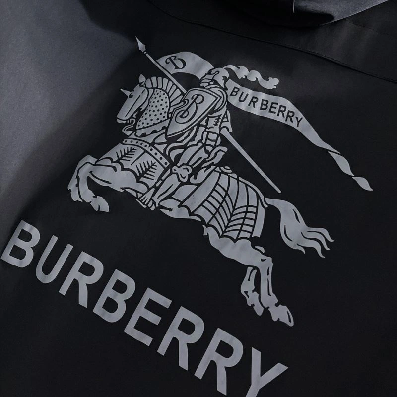 High fidelity Burberry Outwear