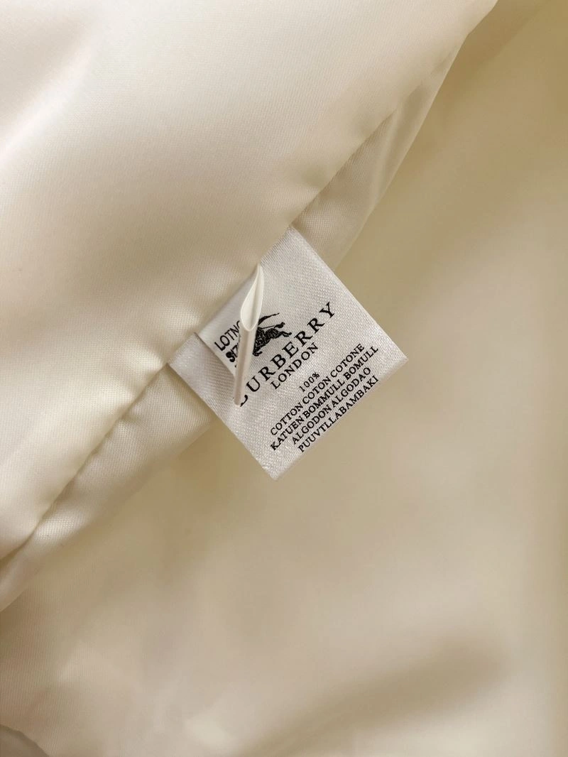 Cut-rate Burberry Outwear