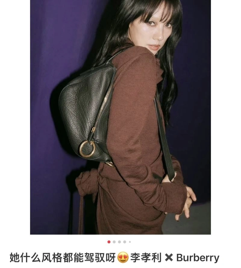 Reasonably priced Burberry Satchel Bags