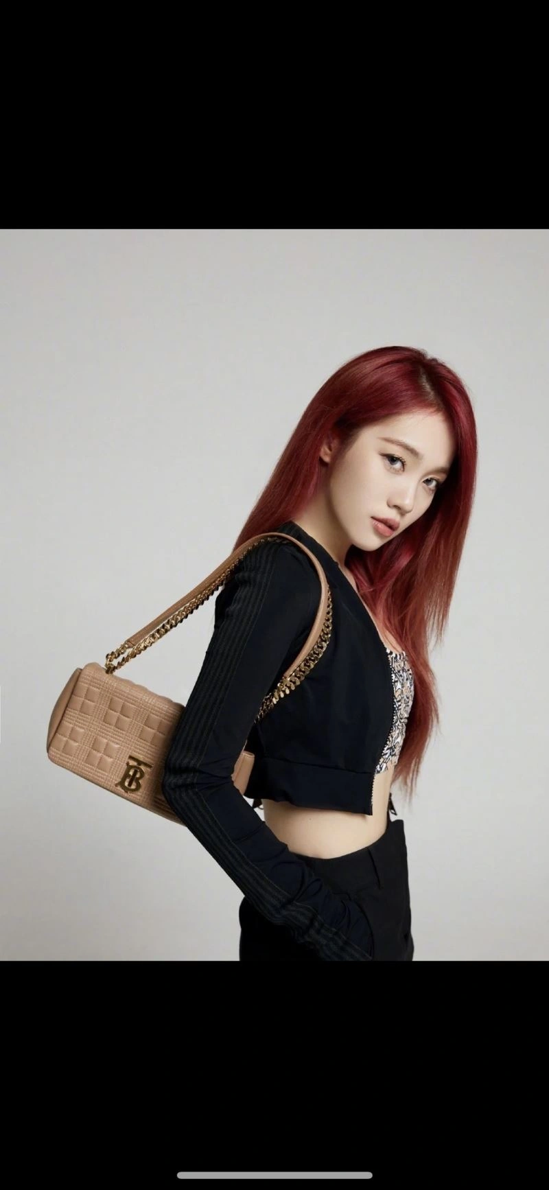 Inexpensive Burberry Satchel Bags