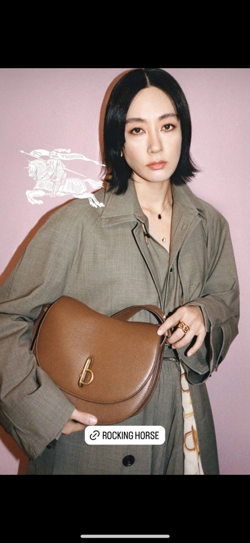 OEM Burberry Satchel Bags