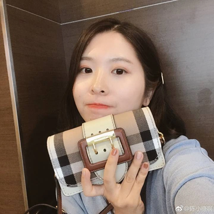 Top match Burberry Satchel Bags