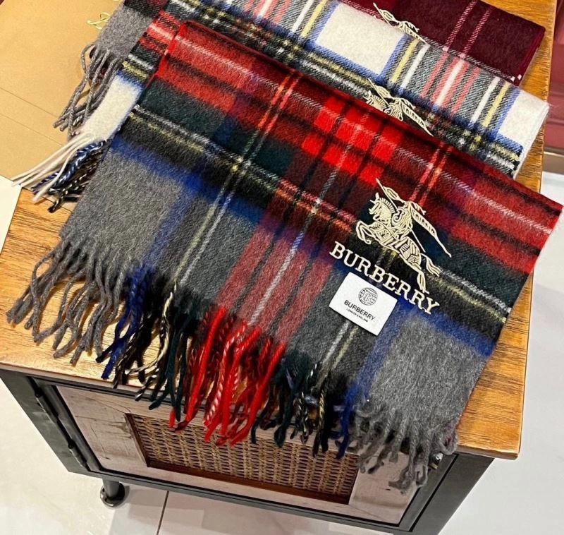 Cut-rate Burberry Scarf