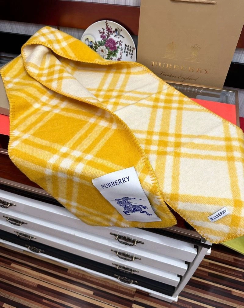 Accurate model Burberry Scarf