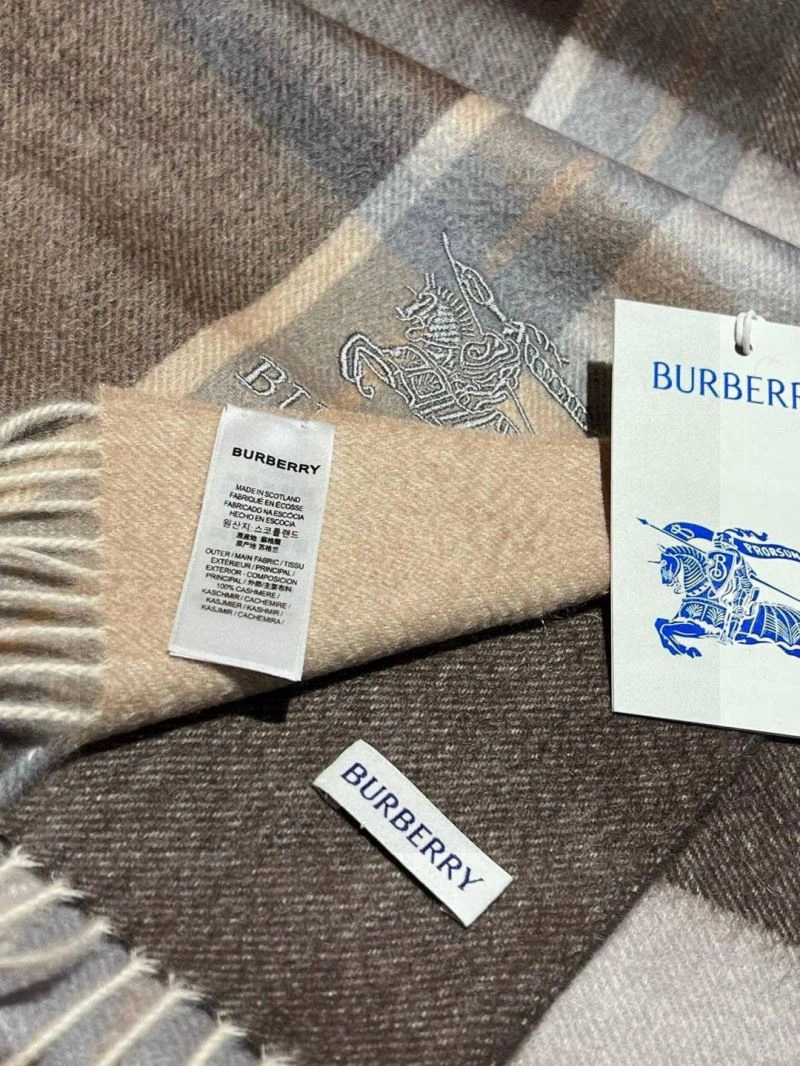 Economical Burberry Scarf