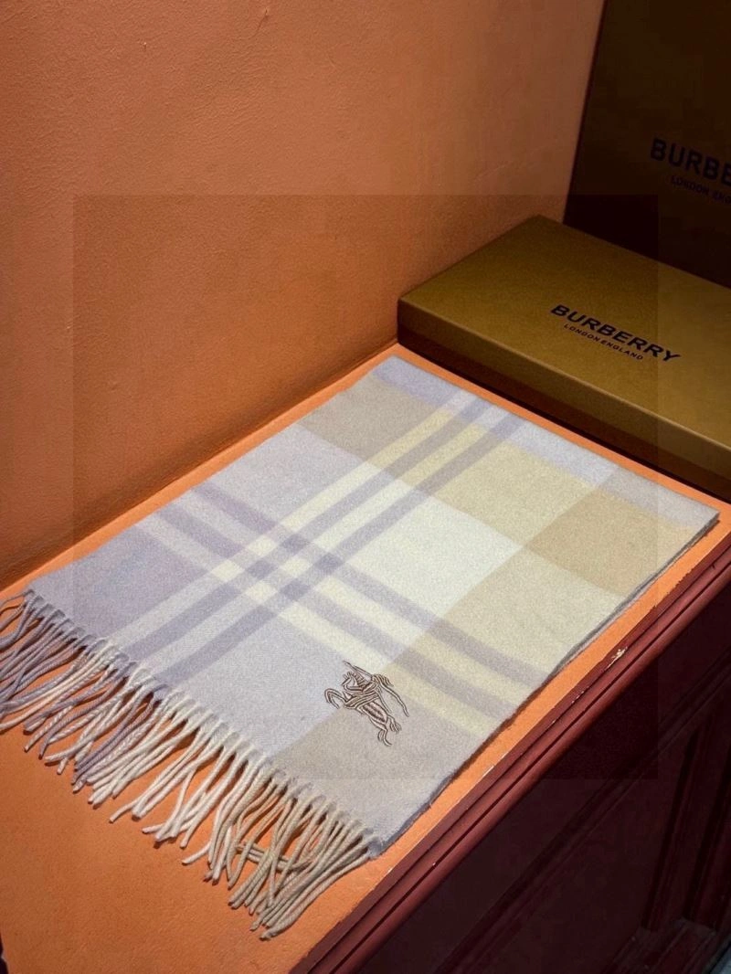 Inexpensive Burberry Scarf