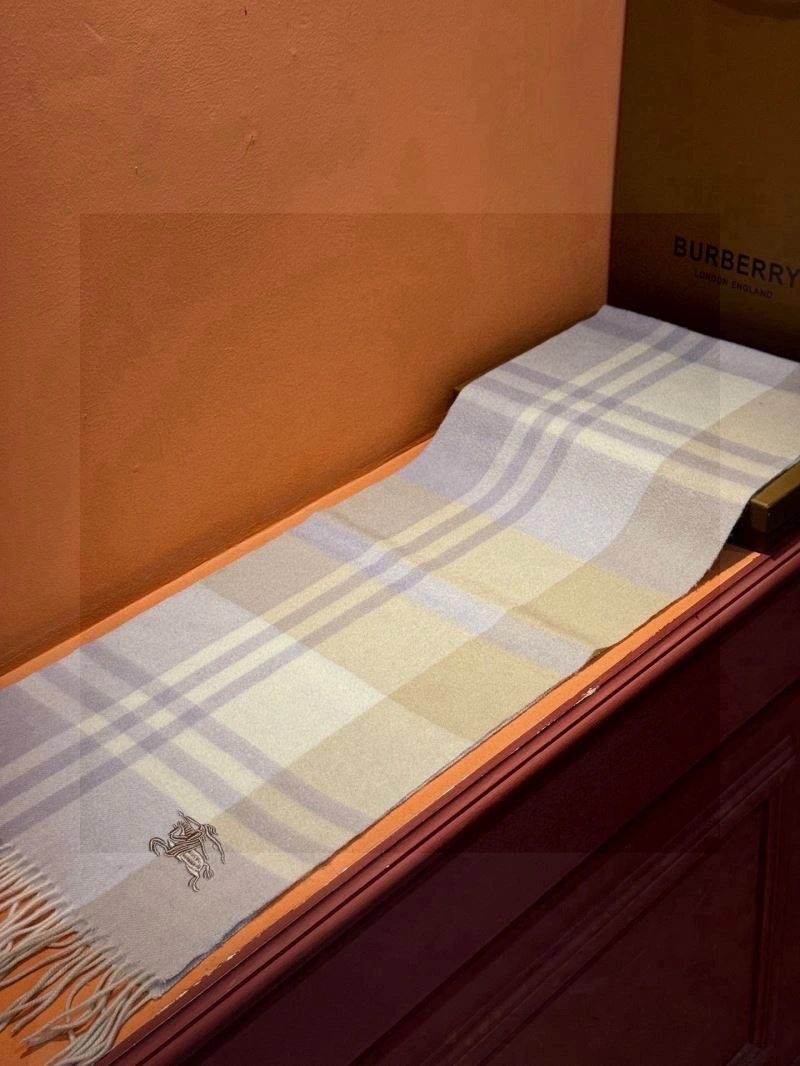 Inexpensive Burberry Scarf
