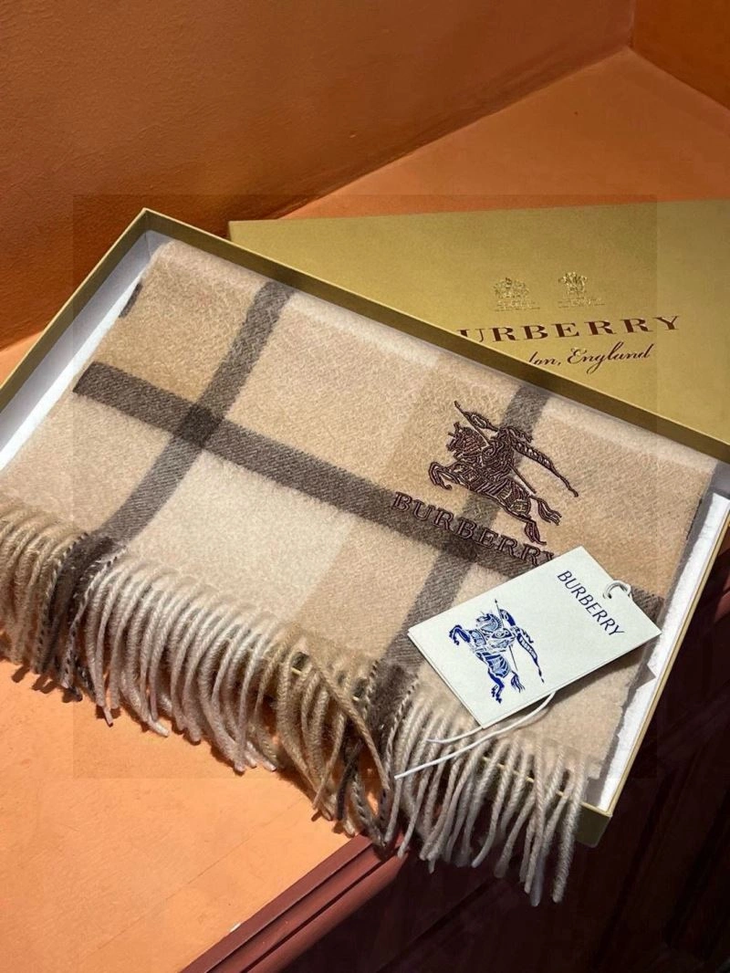Cut-rate Burberry Scarf