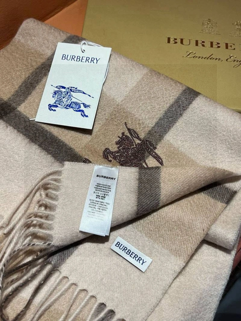 Cut-rate Burberry Scarf